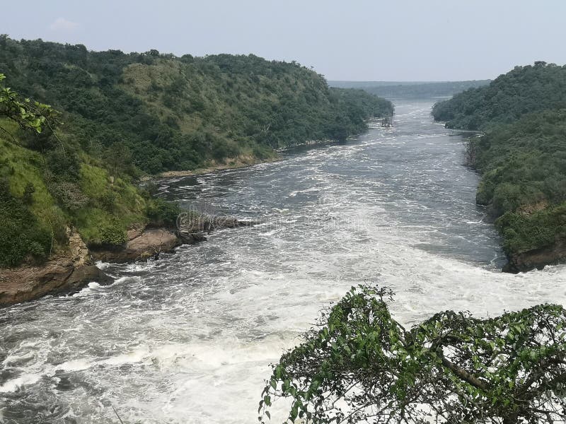 Beauty at the nile river stock image. Image of reservoir - 253548291