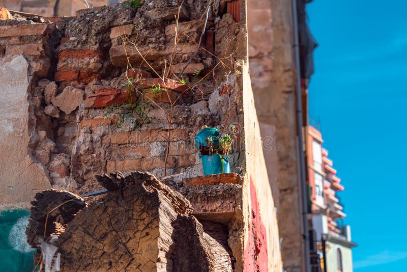 Destroyed Column and Walls of an Ancient Fort Overgrown with Banyan ...