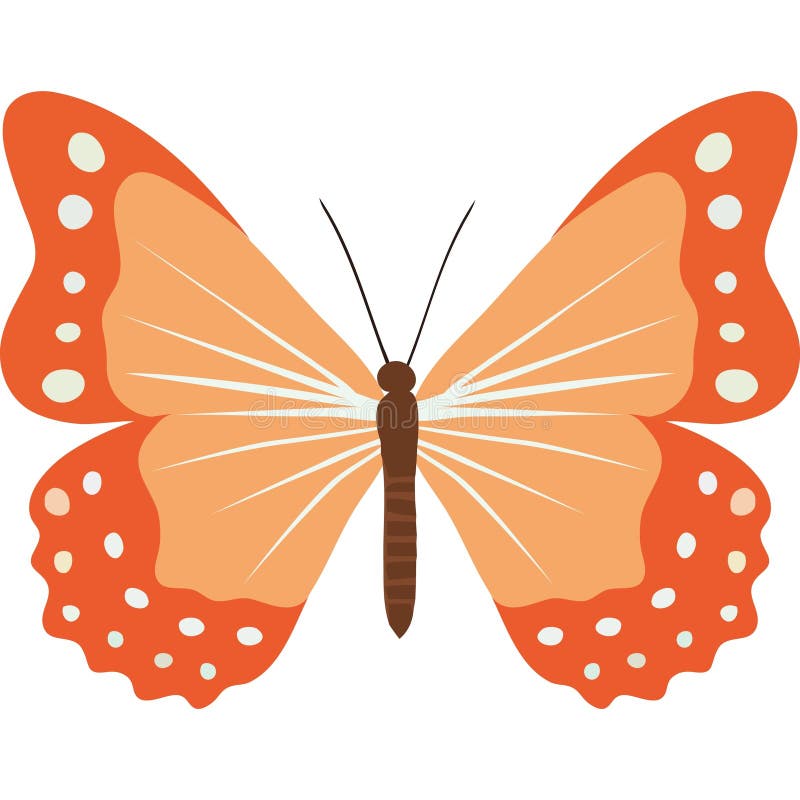 Beauty Orange Butterfly with Wings Open Stock Vector - Illustration of ...