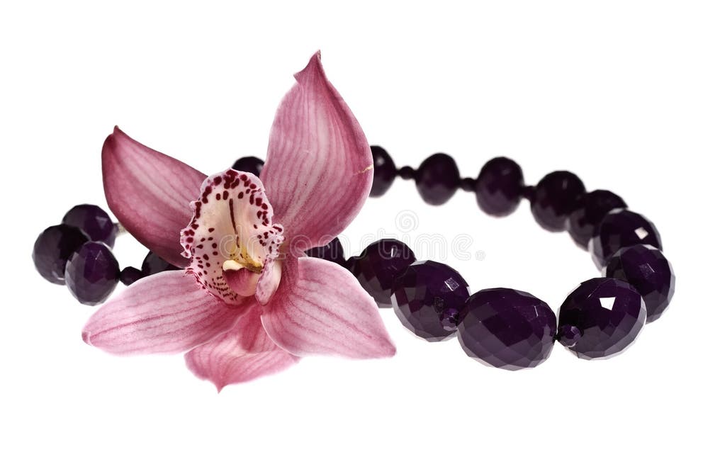 Beauty orchid stock photo. Image of white, pink, leaf - 12685650