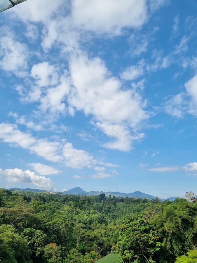 Clear Sky in the Forest and Mountain Stock Image - Image of beauty ...