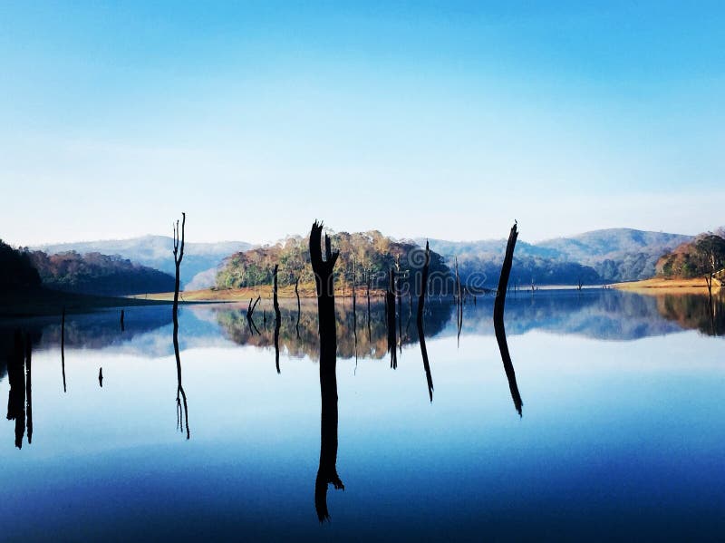 Beauty of Periyar stock photo. Image of beauty, periyar - 118300826