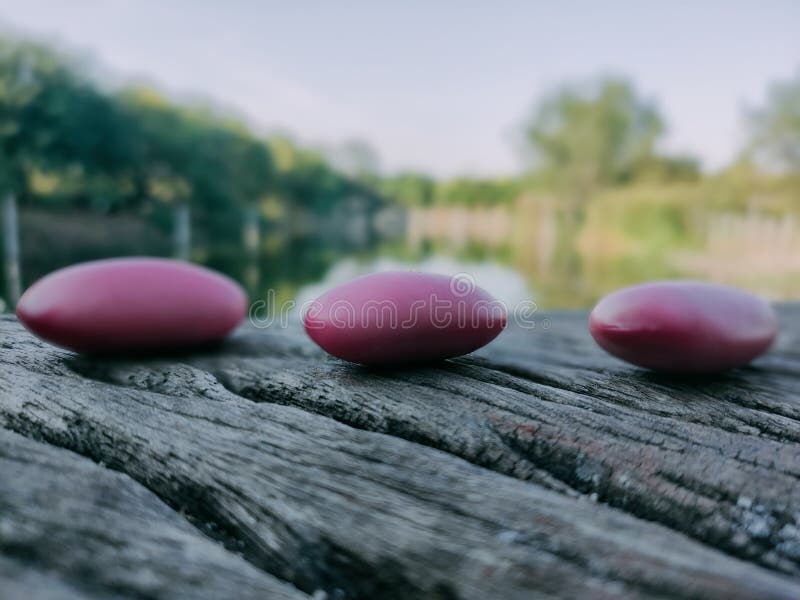 The Beauty of the Pink Beans Grown in the Garden. Stock Photo - Image ...