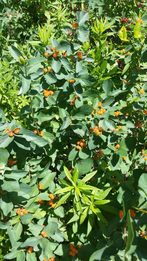 4mb Stock Photos - Free & Royalty-Free Stock Photos from Dreamstime