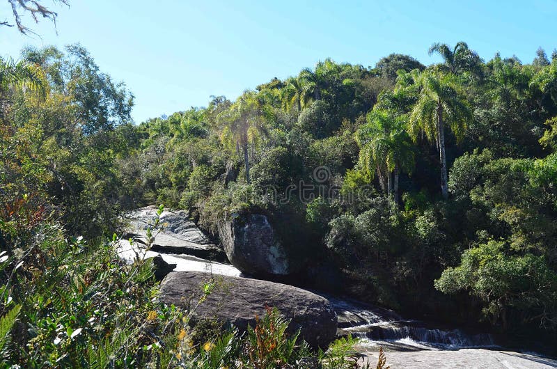 A Beautiful River Running between the Trees Stock Photo - Image of ...