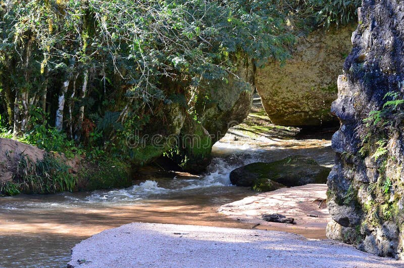 A Beautiful River Running between the Trees Stock Photo - Image of ...