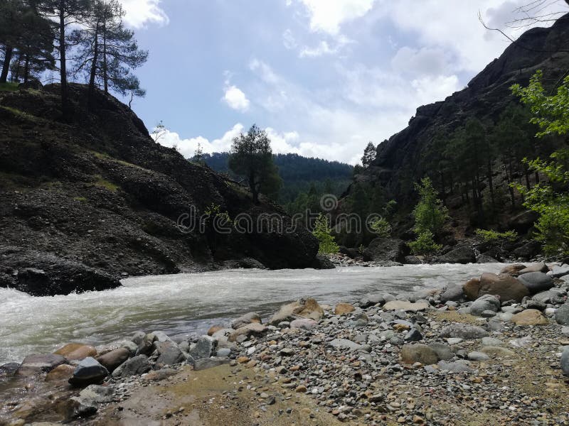 Rock, river and trees stock image. Image of canyon, tree - 148210455