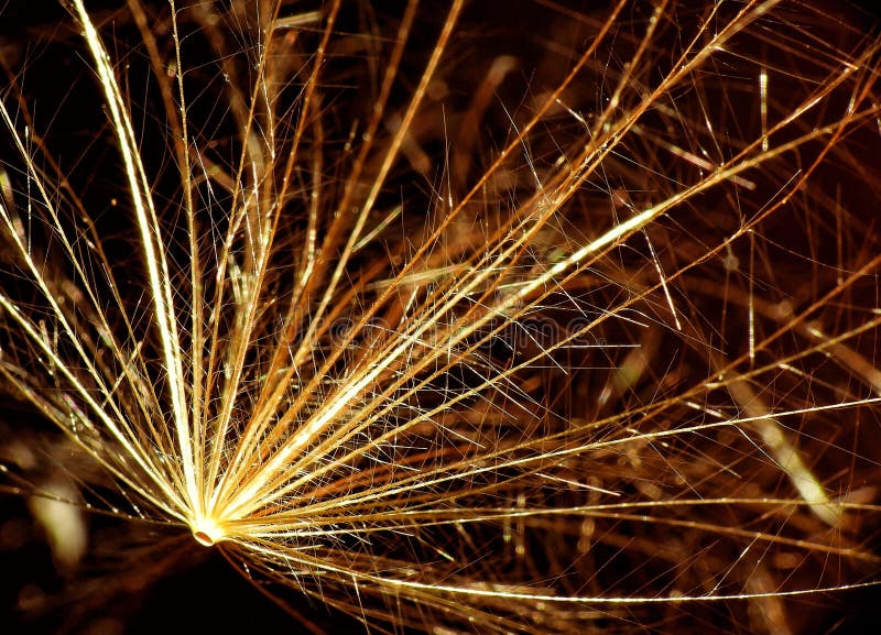 The Beauty of the Small Things Stock Photo - Image of recreation ...