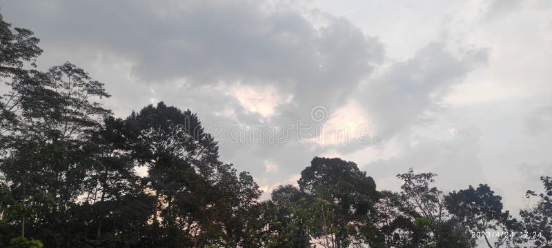 Beauty sky light tree noon stock image. Image of beauty - 276002363