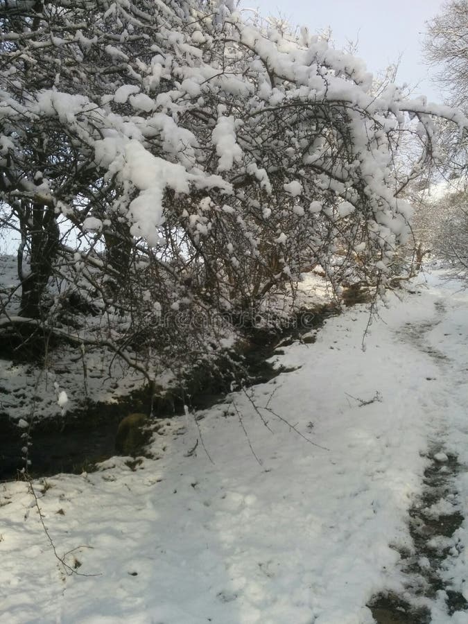 Early Snow stock image. Image of stream, beauty, early - 115809879