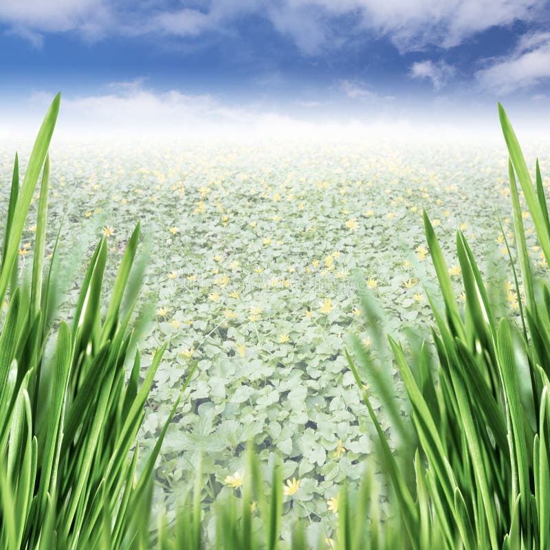 Beauty spring day stock image. Image of beam, light, design - 64896513