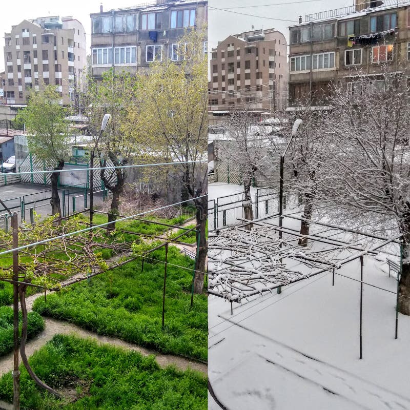 Beauty of Spring and Winter in One Picture Stock Image - Image of ...