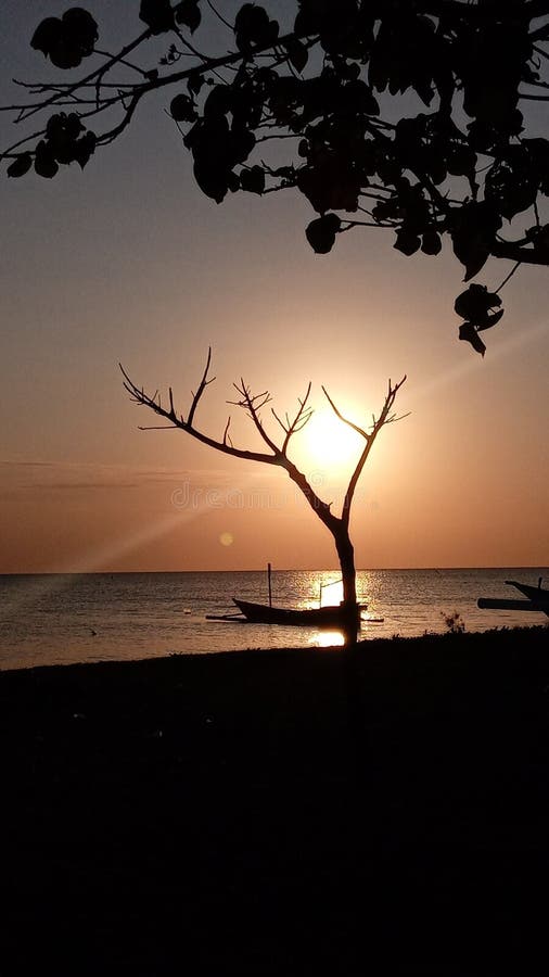 The Beauty of the Sun at the Beach: Enchanted by the Natural Light ...
