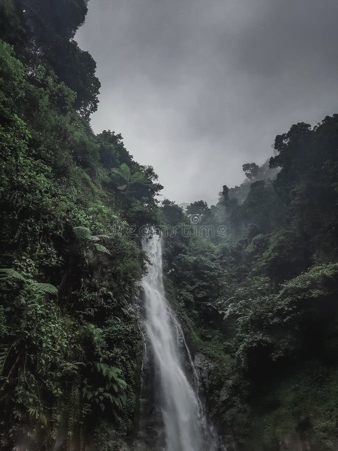 Beauty of the sunda land stock photo. Image of tree - 257834348
