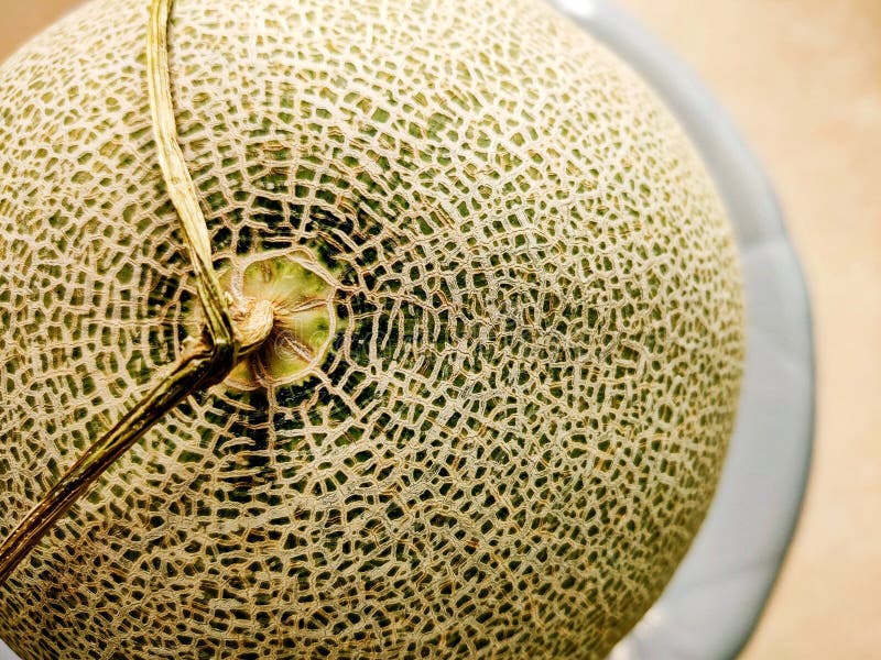 The Beauty of the Surrounding Surface of the Melon. Stock Image - Image ...
