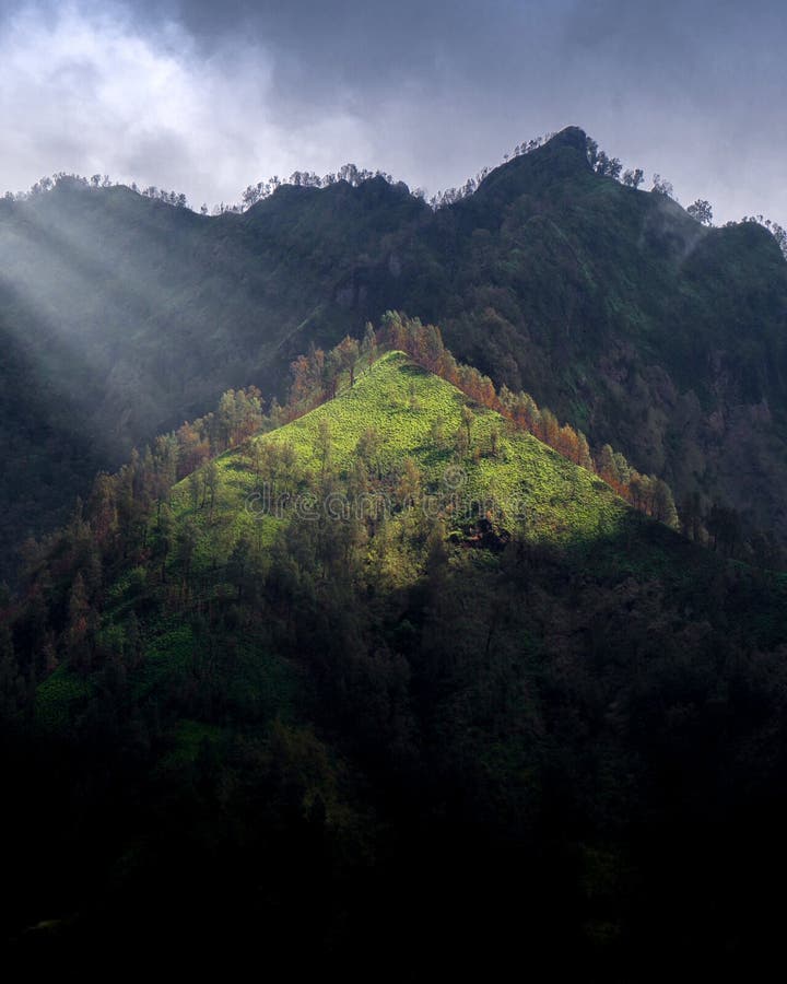 The beauty of Taman Galuh stock image. Image of asian - 331298489