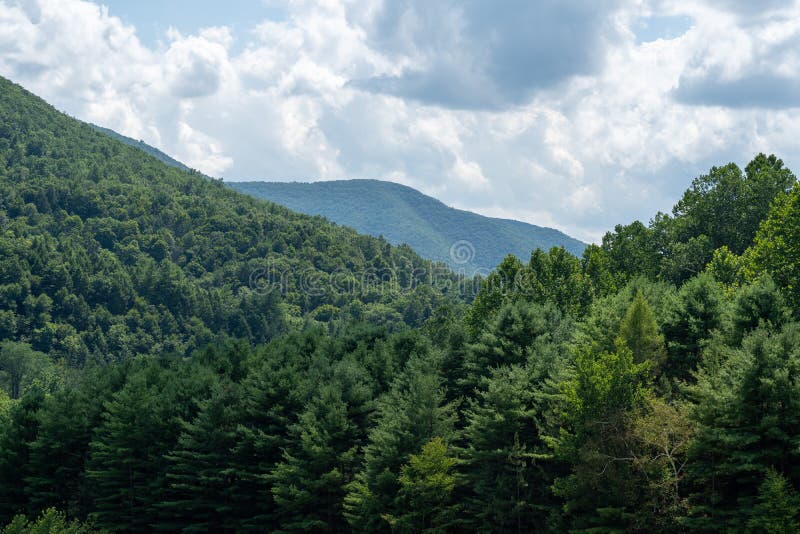 Tree Covered Hillsides stock image. Image of sunny, outdoors - 197966993