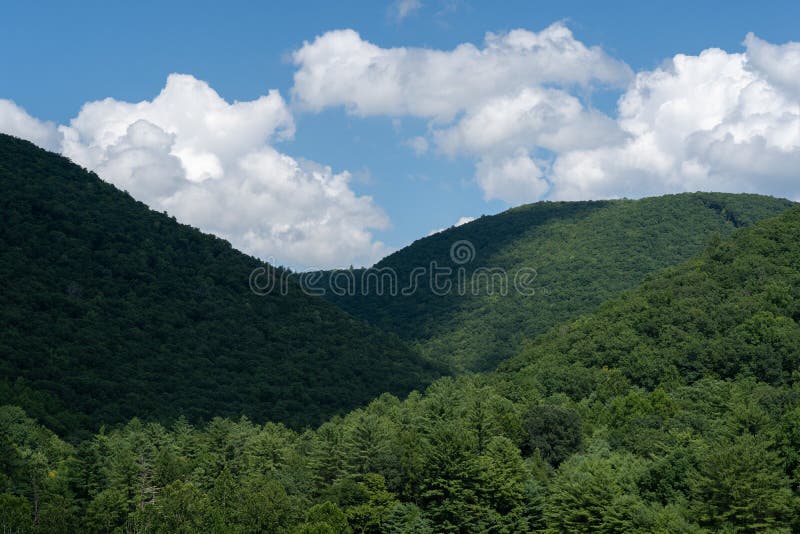Beauty of the Tree-covered Hillsides Under the Puffy Clouds in the Sky ...