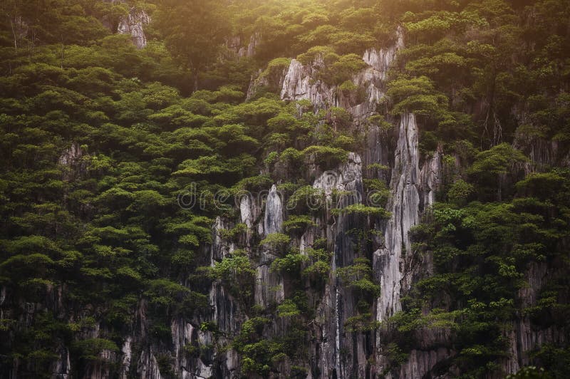 Beauty Tress stock image. Image of cliffs, rock, landscape - 137270861