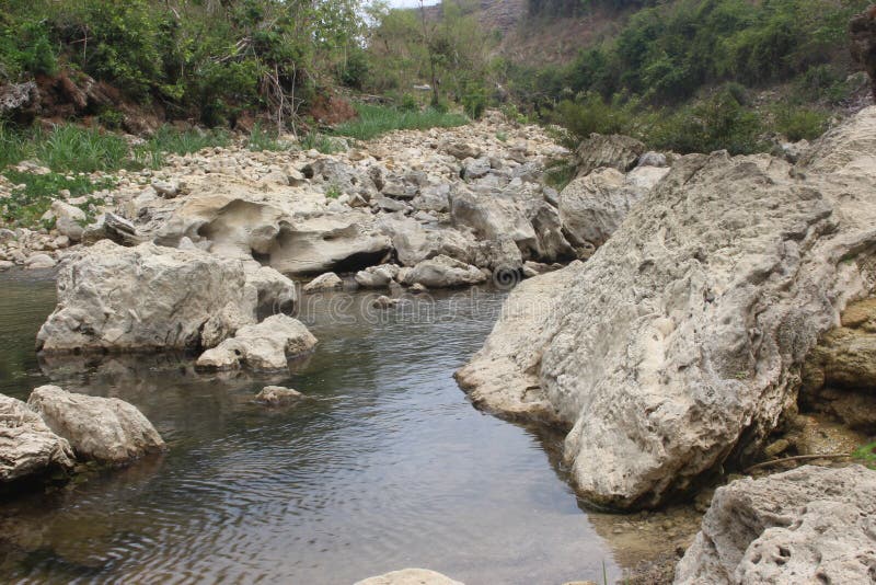 The Beauty of an Unpolluted River Stock Image - Image of backcground ...