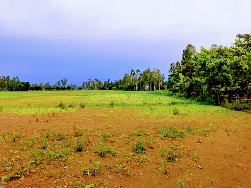 The Beauty of the Village Cannot Be Expected without Open Fields, Green ...