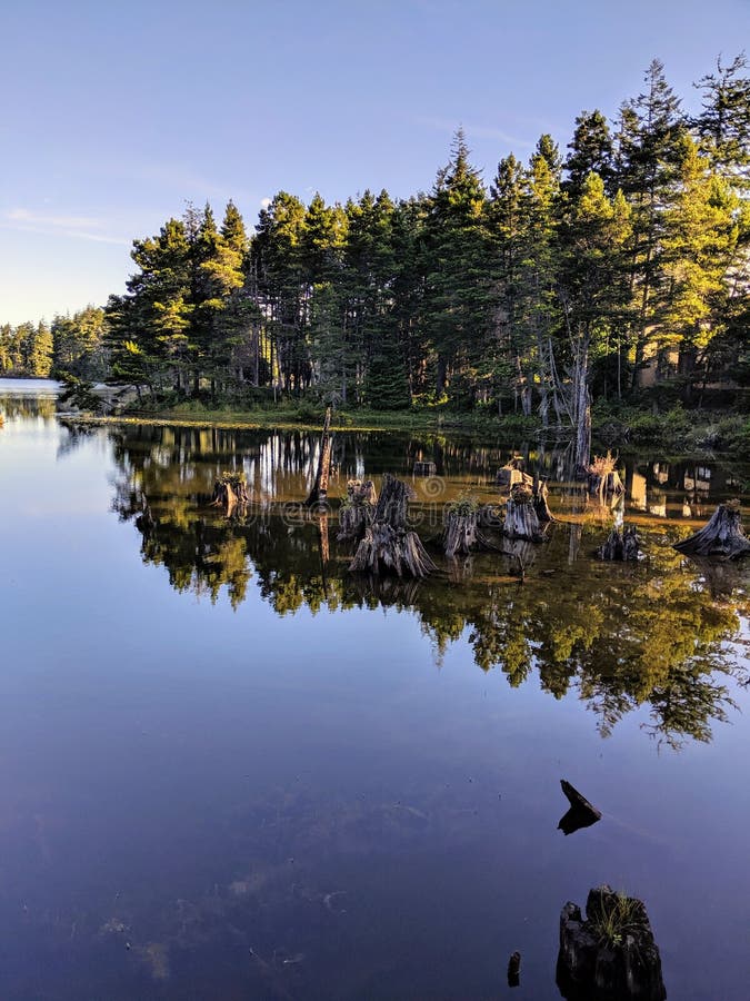 Beauty in water stock image. Image of sensual, holiday - 21623241