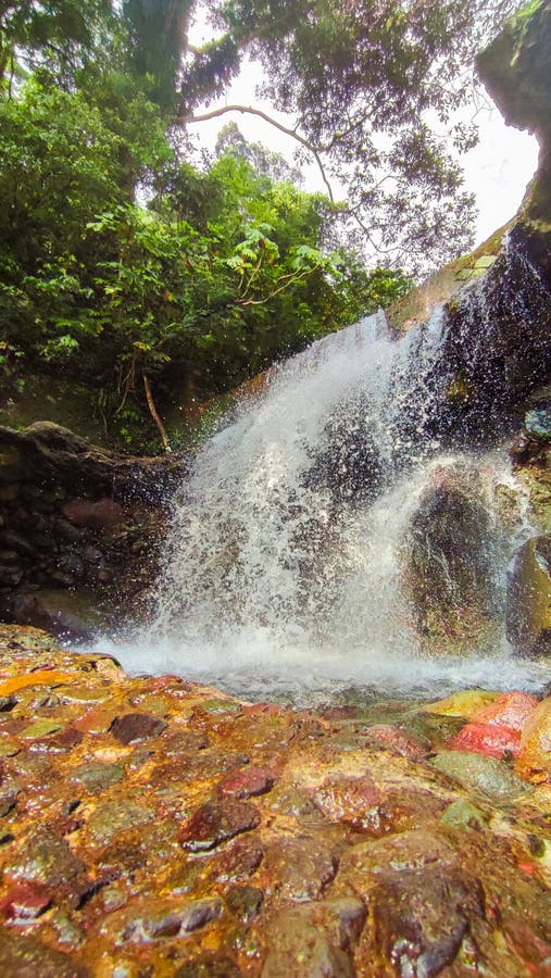The Beauty of a Waterfall at the Equator Stock Image - Image of ravine ...