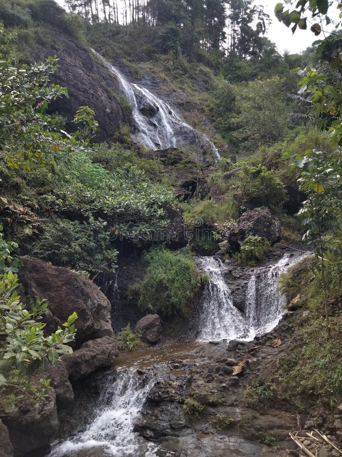 The Beauty of Waterfall with Great Nature Flow Together Stock Photo ...