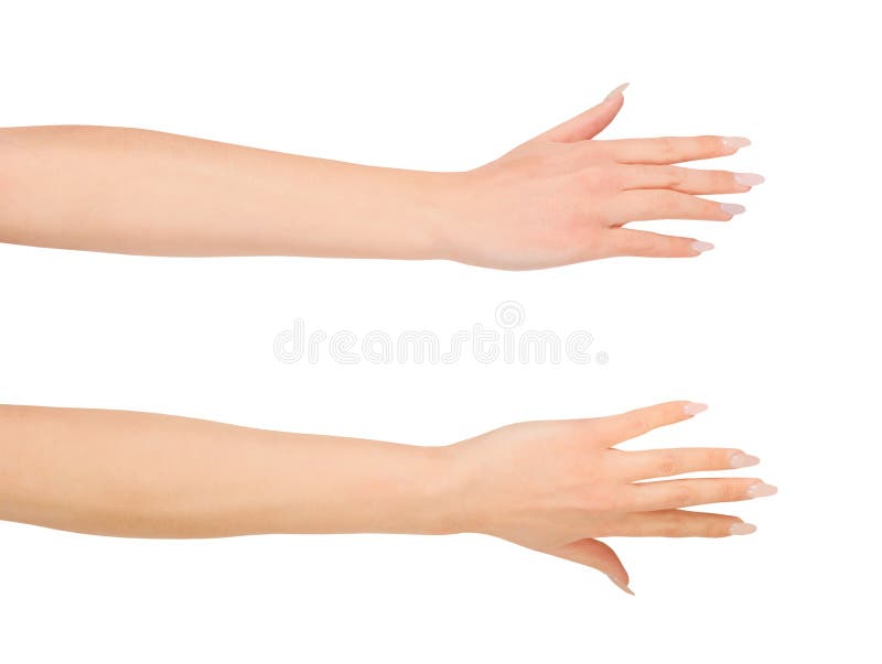 Beauty Woman Hand Over White Stock Photo - Image of gesturing, gesture ...