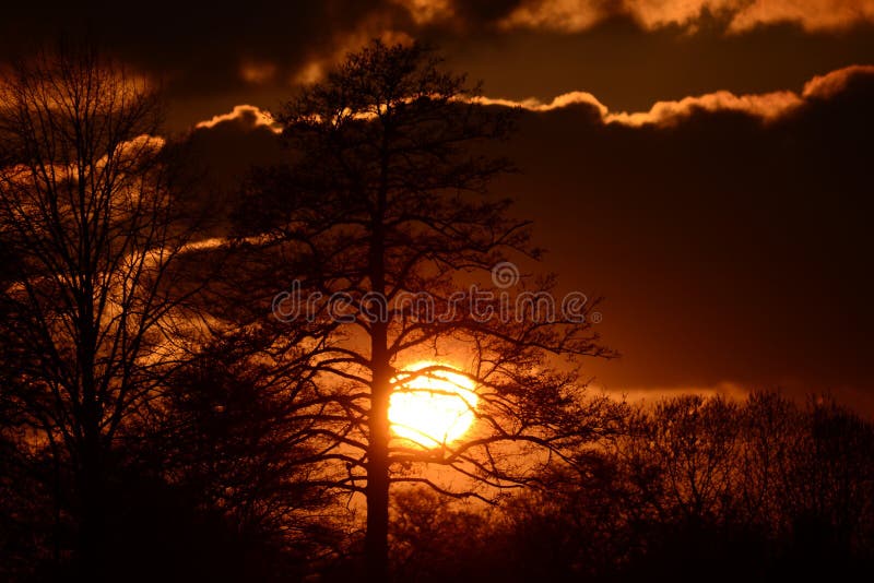 Beautyful Dramatic Sunset Trees Foreground Stock Photos - Free ...