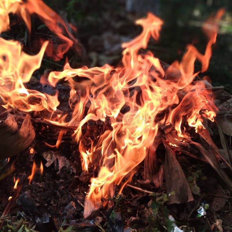 Beautyful fire love stock photo. Image of geyser, font - 241360076