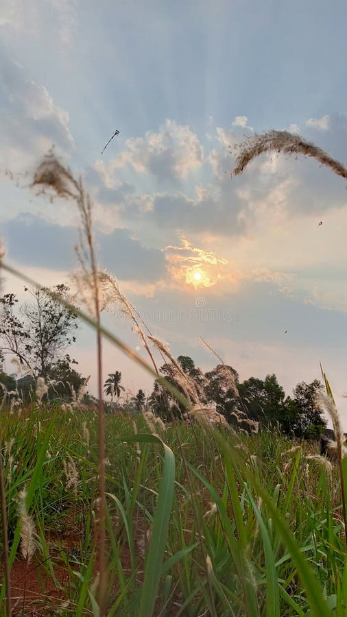 Beautyfull Perfect Sun Rise in the World Stock Image - Image of rise ...