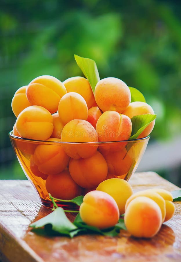 Beaux abricots image stock. Image du régime, normal - 121680871