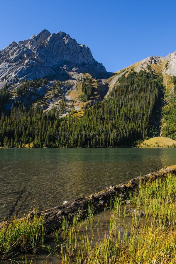 Beaux Paysages De Montagne En Automne Image stock - Image du alberta ...