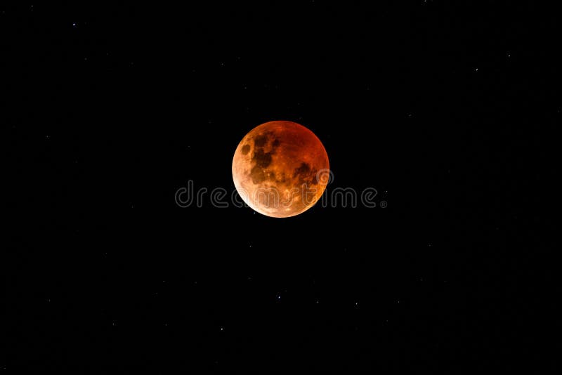 Beaver Blood Moon Eclipse stock image. Image of nightscape - 261578263 Beaver Blood Moon Eclipse stock image. Image of nightscape - 261578263