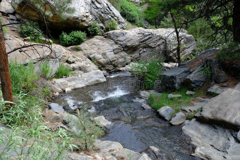 Beaver Brook Trail in Colorado Stock Photo - Image of forest, hiking ...