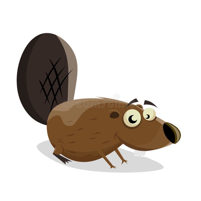 Funny Cartoon Illustration of a Happy Beaver Stock Illustration ...