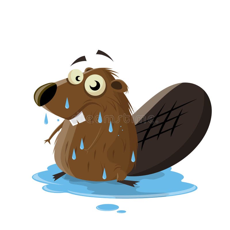 Funny Cartoon Illustration of a Wet Beaver Stock Vector - Illustration ...
