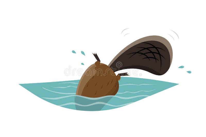 Cartoon Beaver Diving in Water Stock Vector - Illustration of beaver ...