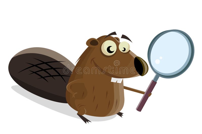 Cartoon Beaver with with Magnifying Glass Stock Vector - Illustration ...