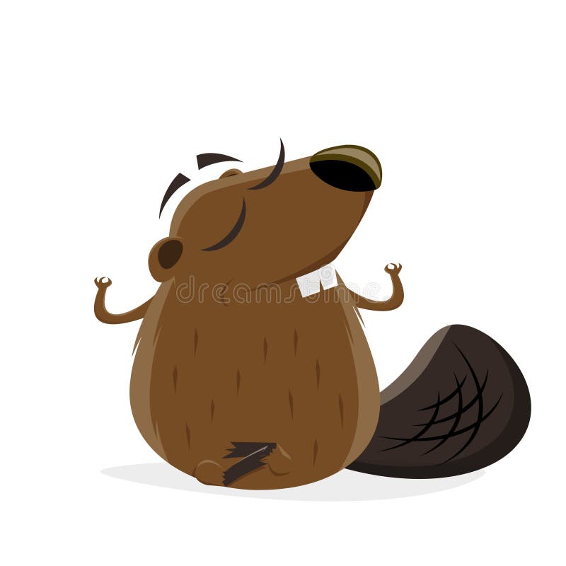 Beaver Doing Meditation Yoga Cartoon Vector Illustration. Stock Vector ...