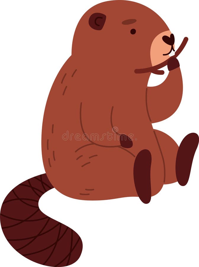 Beaver Eating Twig stock vector. Illustration of lake - 299412499