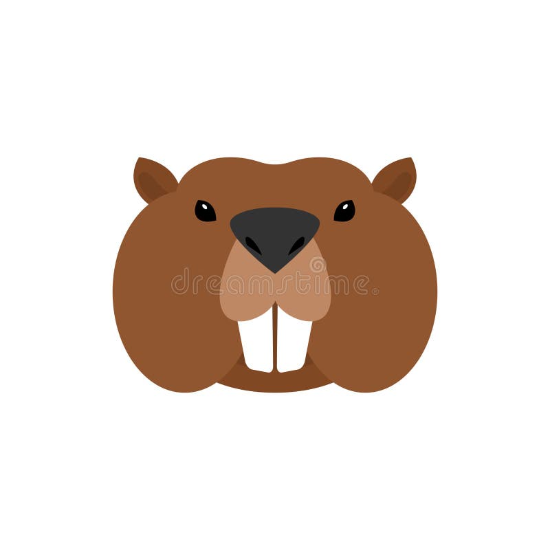 Beaver Face Icon Isolated. Beaver Head Vector Illustration Stock Vector ...