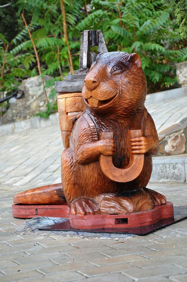 Beaver stock image. Image of forest, wood, beaver, nature - 50359943