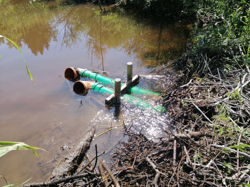 Beaver house on the river stock image. Image of wood - 332062347
