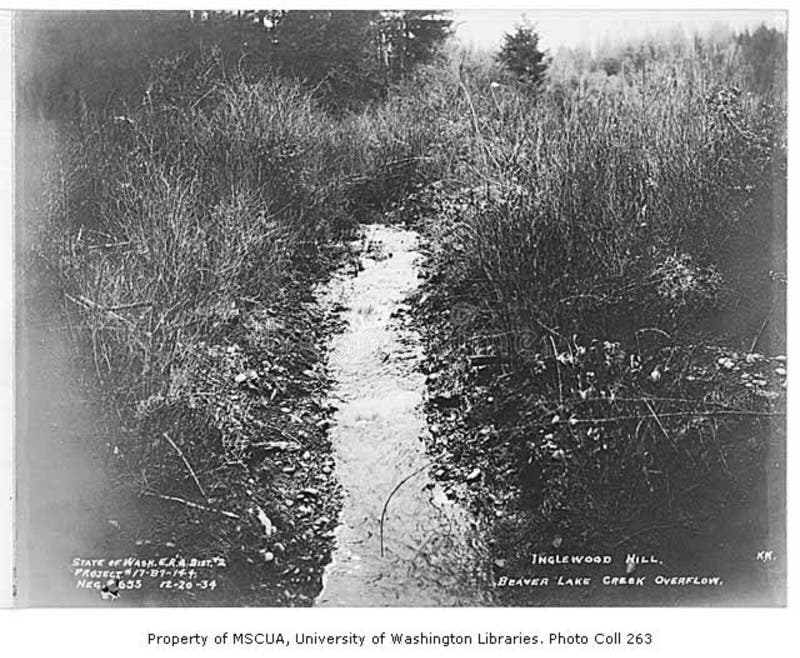 Beaver Lake Creek Overflow Ditch Picture. Image: 222351302