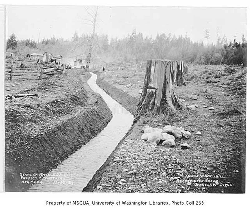 Beaver Lake Creek Overflow Ditch Picture. Image: 222351326