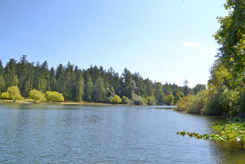 Beaver Lake on Vancouver Island Stock Photo - Image of lake, green ...