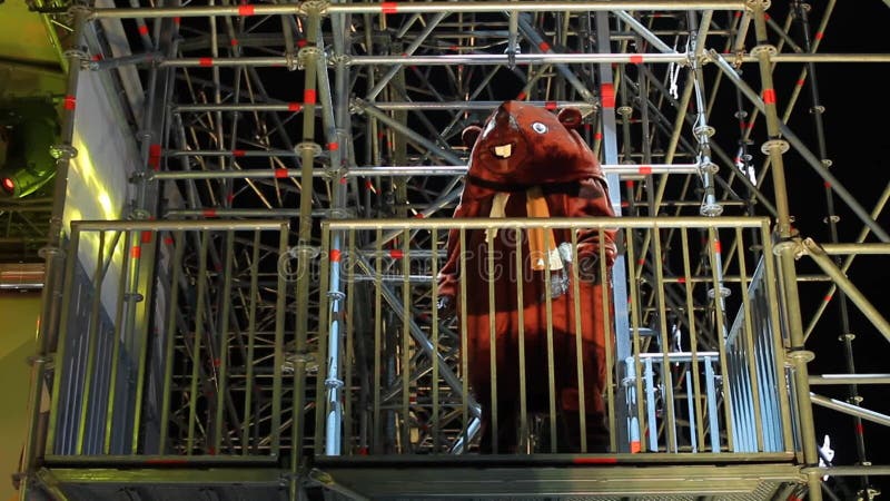 Beaver Mascot Claps His Hands on the Stage Structures Stock Video ...