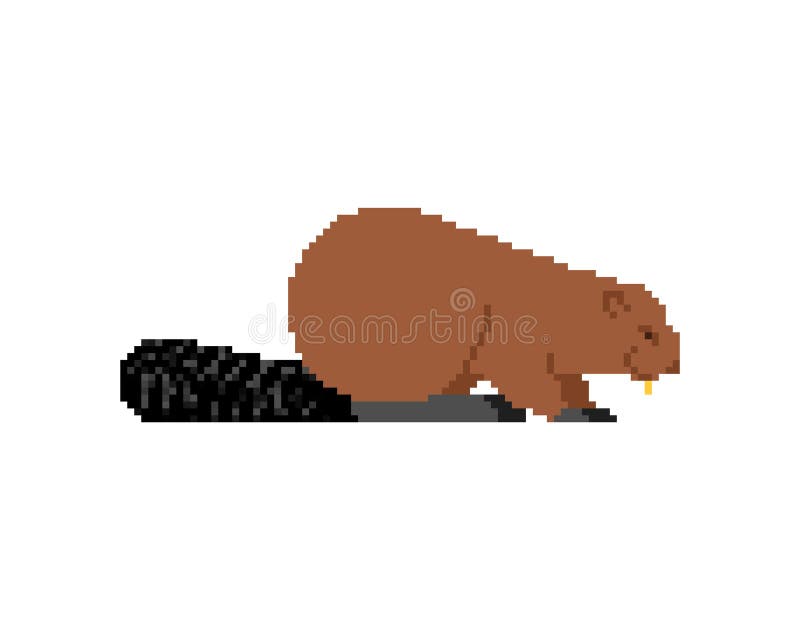 Beaver Pixel Art. 8 Bit Swamp Rodent Stock Vector - Illustration of ...